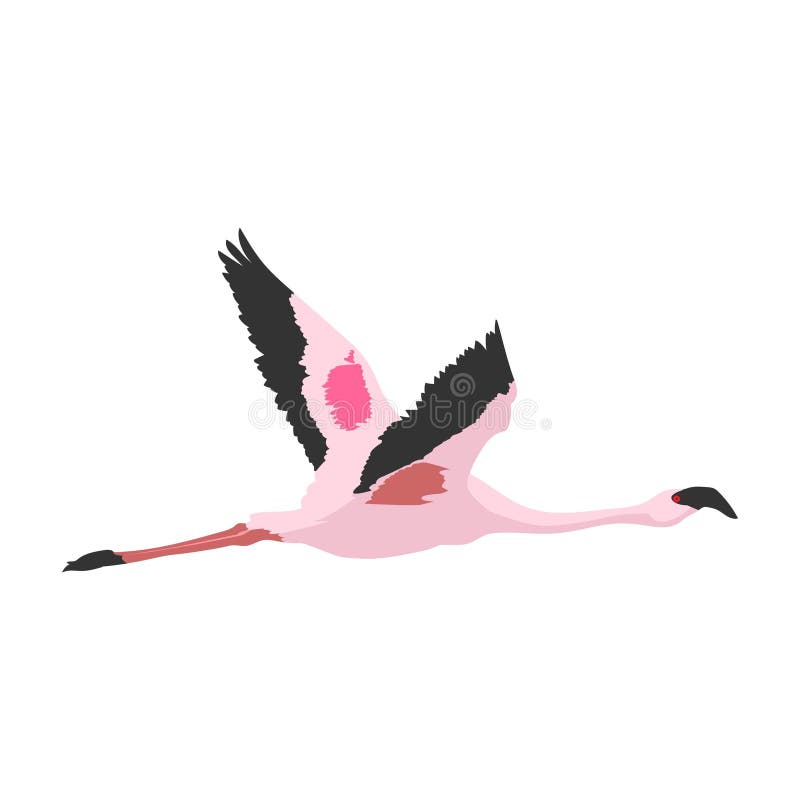 Flying Flamingo vector stock illustration. Illustration of love - 328136348