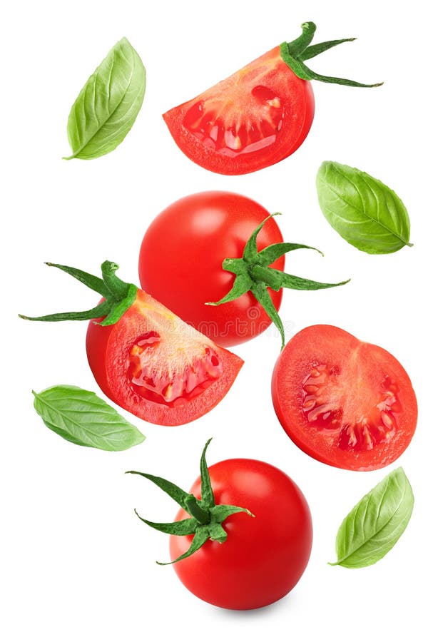 Flying Fresh Tomatoes with Green Leaves Isolated on White Background ...