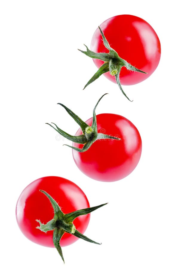 Flying Fresh Tomatoes on a White Background Stock Image - Image of ...