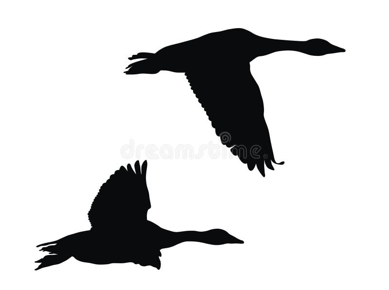 Flying Geese Stock Illustrations – 1,832 Flying Geese Stock ...