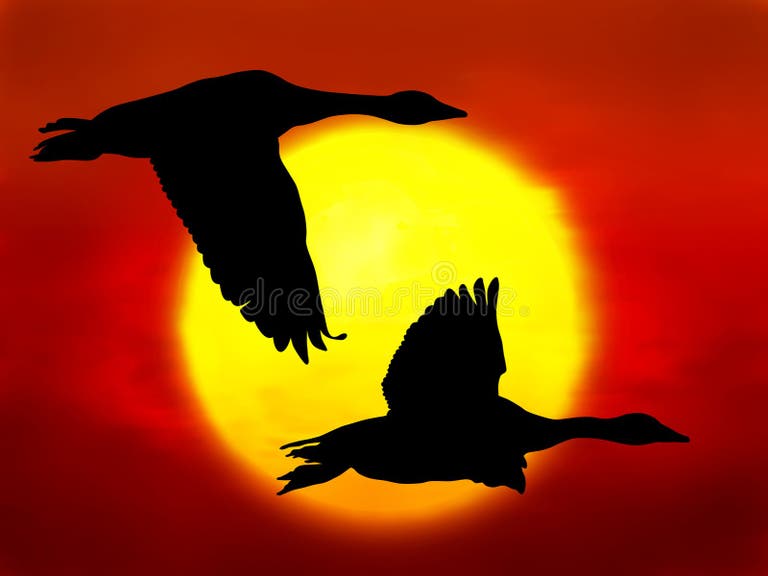 Flying Geese Stock Illustrations – 1,696 Flying Geese Stock ...