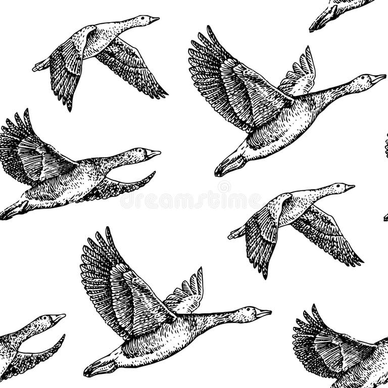 Flying Geese Stock Illustrations – 2,243 Flying Geese Stock ...