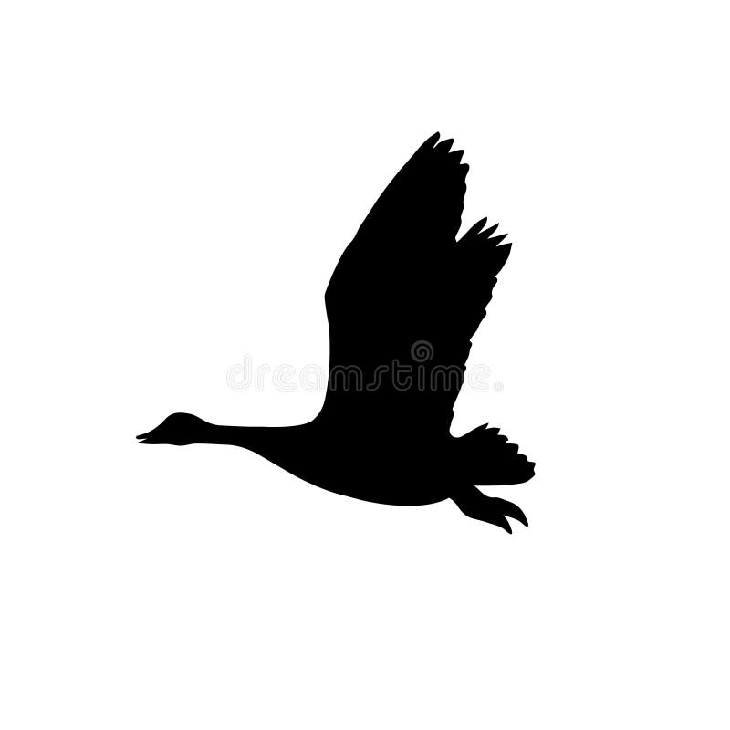 Flying Goose Silhouette, Vector Illustration Stock Illustration ...