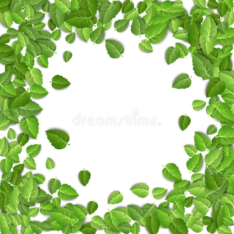 Flying Green Leaves on White Background. Spring Leaf Pattern on ...