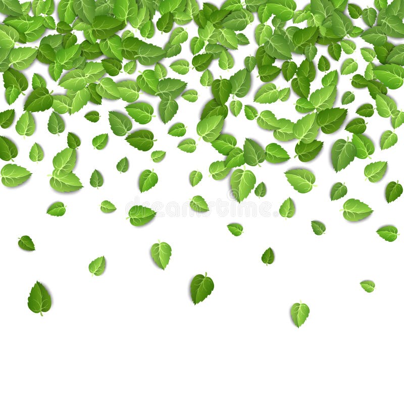 Flying Green Leaves on White Background. Spring Leaf Vertical Pattern ...