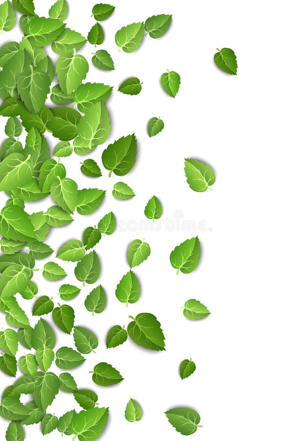Flying Green Leaves on White Background. Spring Leaf Vertical Pattern ...