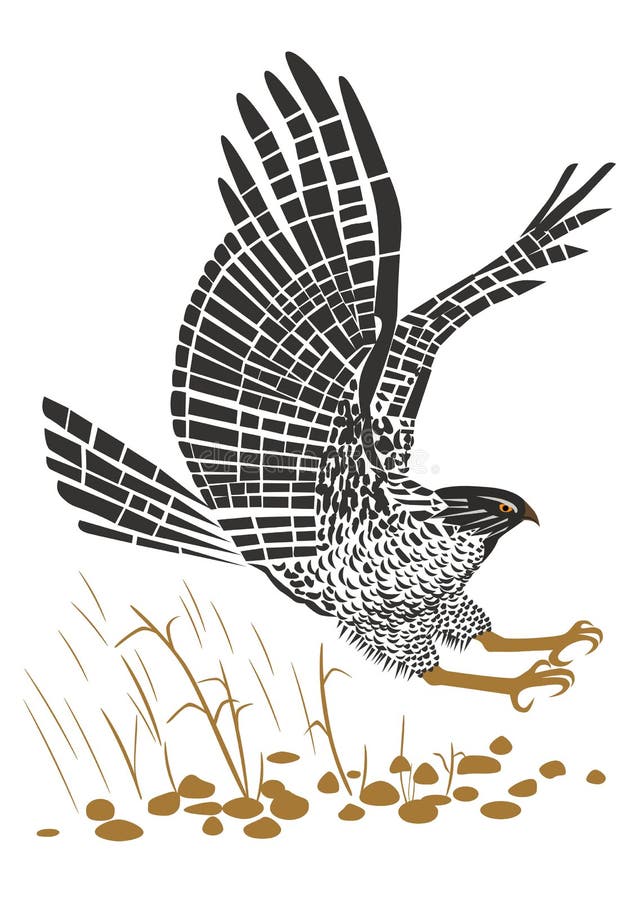 Flying Hawk ,Front View, Isolated Stock Vector - Illustration of ...
