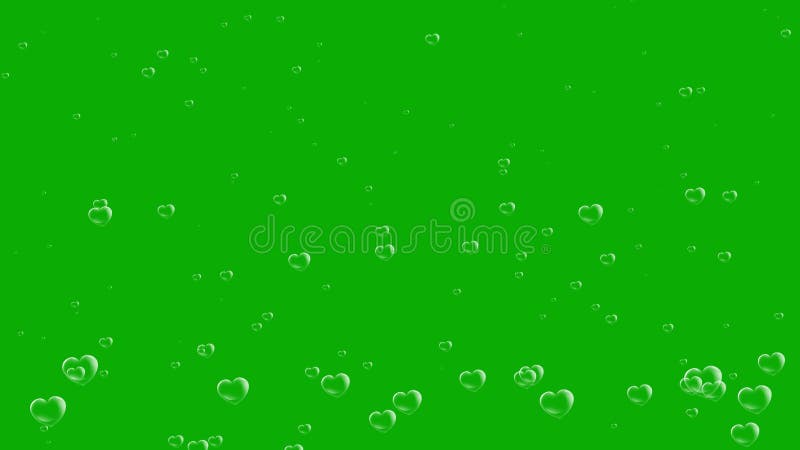 Flying Heart Bubbles Motion Graphics with Green Screen Background Stock ...