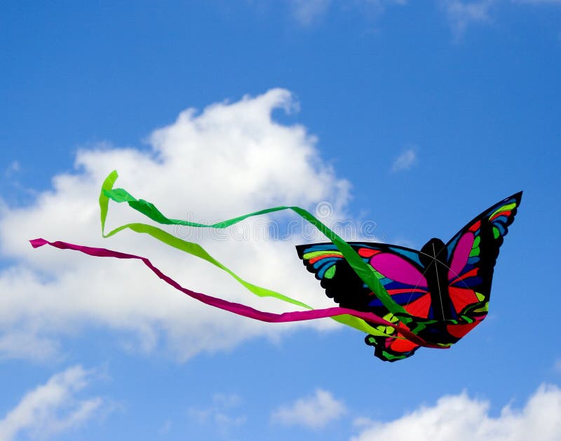 Flying High stock image. Image of glide, butterfly, colorful - 1107697