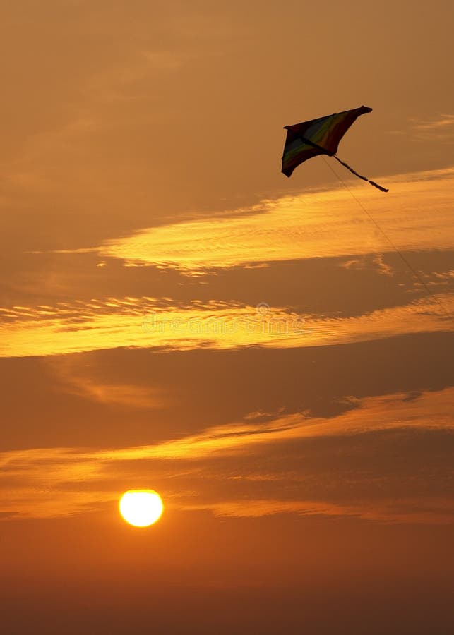 Flying High stock image. Image of afternoon, freedom, soar - 194959