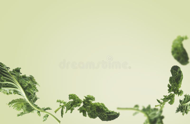 Flying Kale Leaves at Green Background. Border Stock Photo - Image of ...