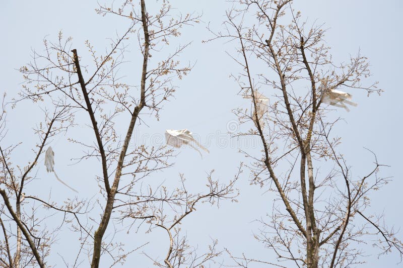 Flying kites stock image. Image of holiday, park, unlucky - 24111977