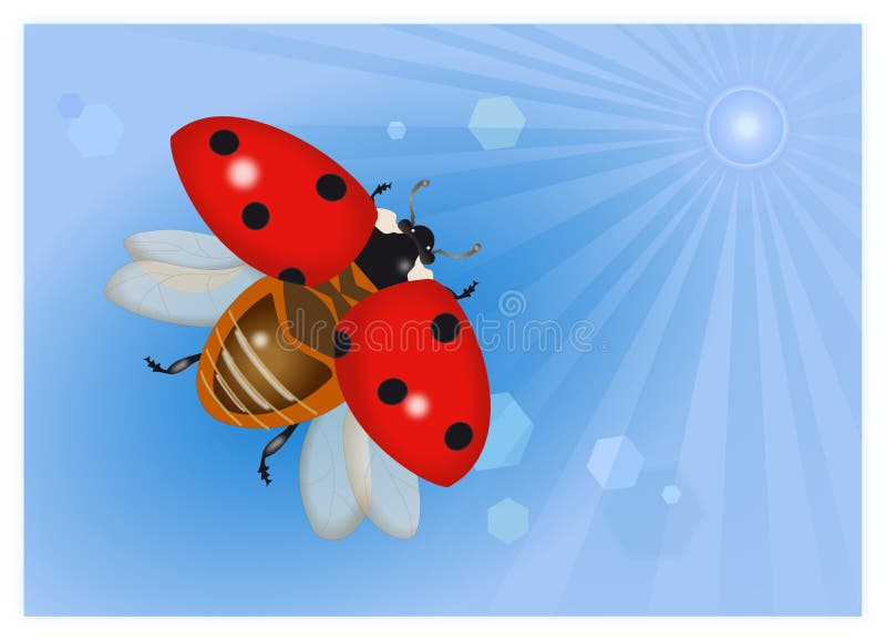 Flying ladybug isolated stock illustration. Illustration of ladybug ...