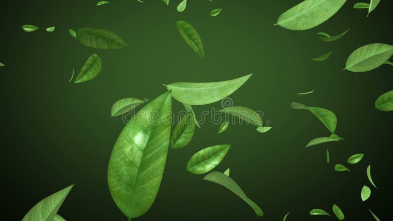 Flying Leaves. Blowing Leaves. Autumn Leaves Flying Animation Stock ...