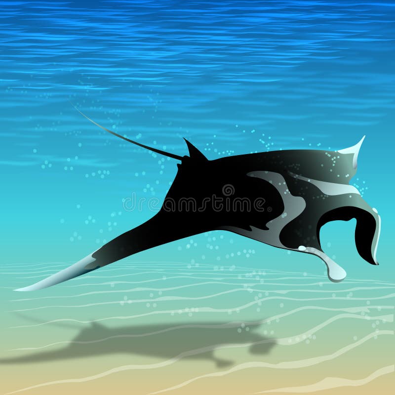 Flying Manta Ray Stock Illustrations – 114 Flying Manta Ray Stock ...