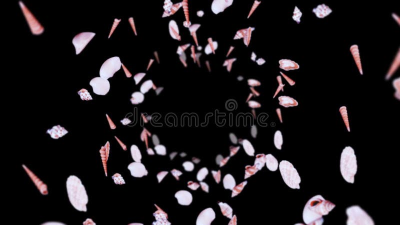 Flying Many Sea Shells on Black Background. Collection of Realistic ...