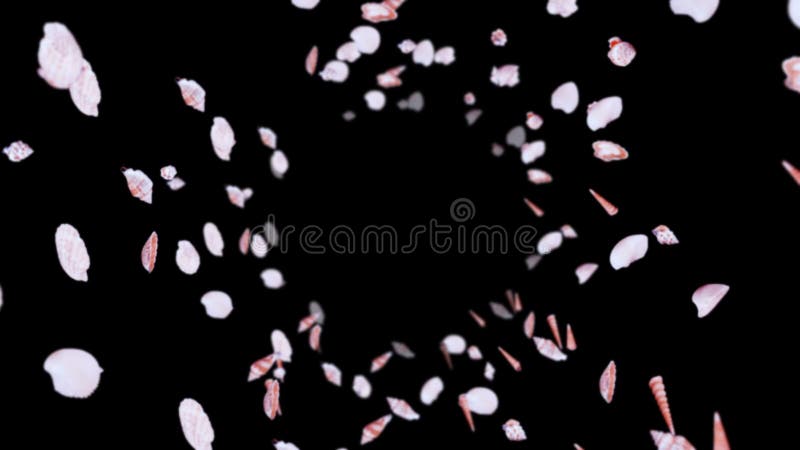 Flying Many Sea Shells on Black Background. Collection of Realistic ...
