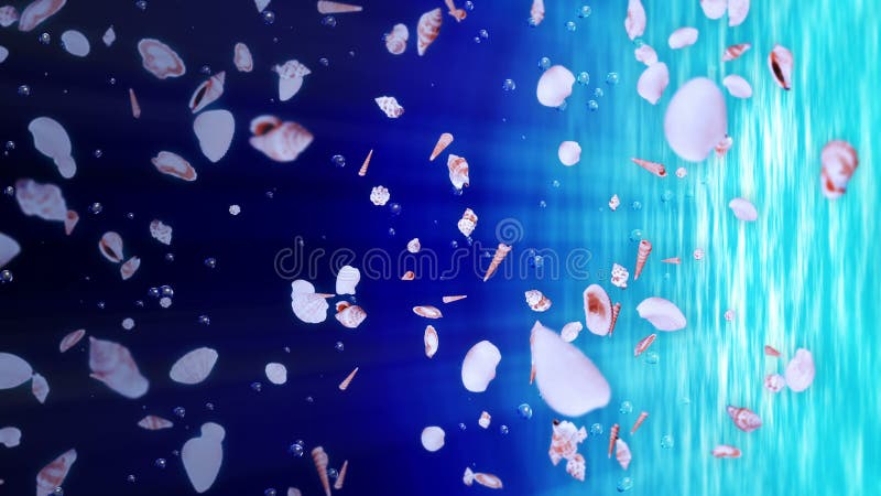 Flying Many Sea Shells in Blue Water. Collection of Realistic Shellfish ...