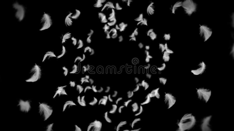 Falling Feathers Animation