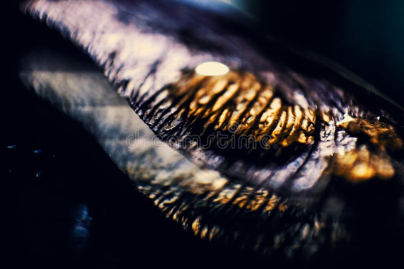 146 Maple Seeds Flying Stock Photos - Free & Royalty-Free Stock Photos ...