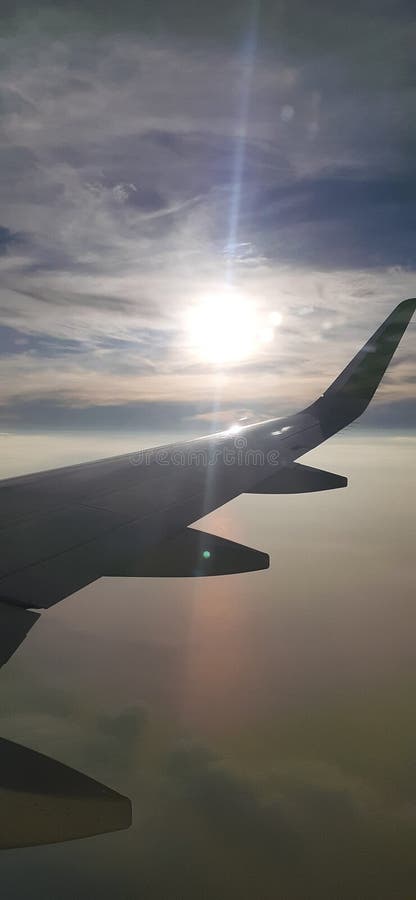 Flying in the Morning in Rainy Season Stock Image - Image of reflection ...