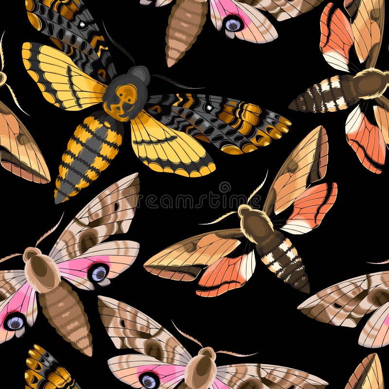 Flying moths seamless stock vector. Illustration of mysticism - 91563662