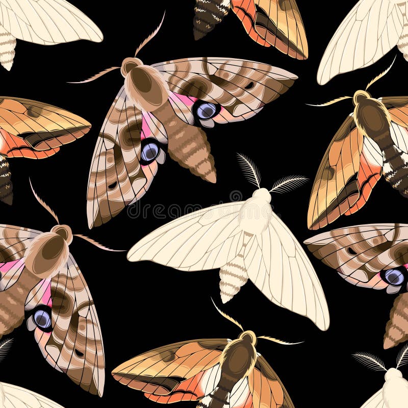 Flying moths seamless stock vector. Illustration of hand - 91565396