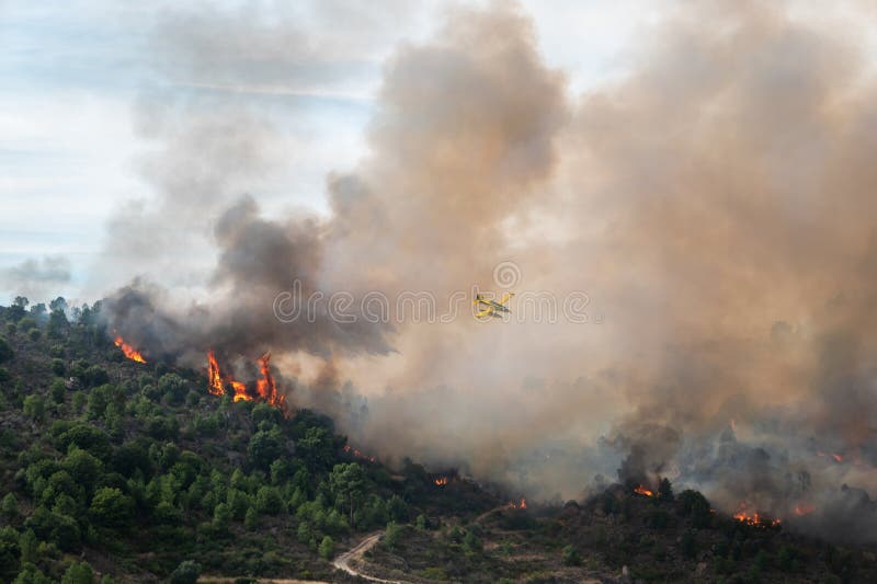 Flying Over Danger: Fire Plane in Action Stock Photo - Image of ...