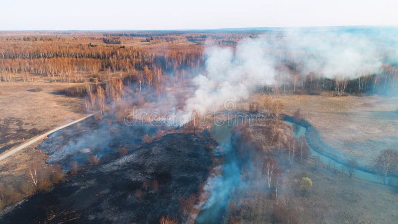 Flying Over a Fire in the Forest. Black Burned Field, There is a Strong ...