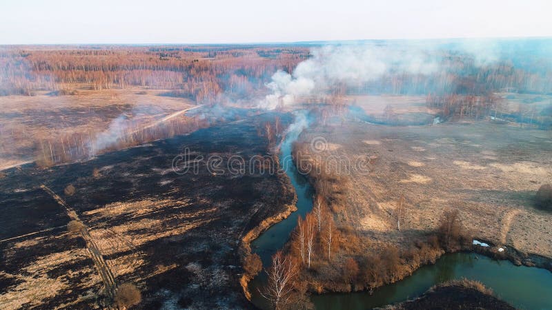 147 Burnt Sky Over Forest Stock Photos - Free & Royalty-Free Stock ...