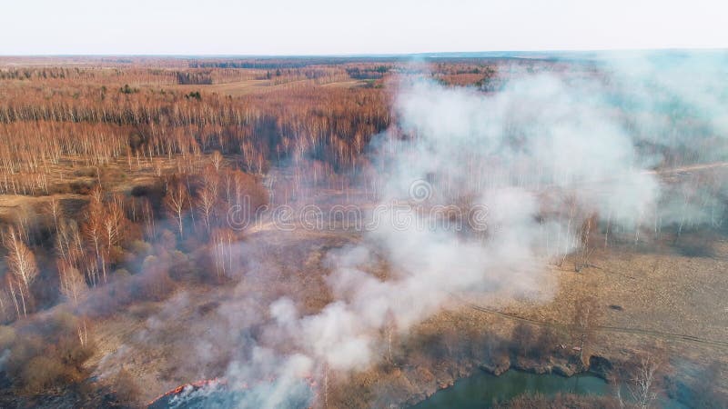 A Field of Corn on Fire with a Path Leading To the Horizon Stock ...