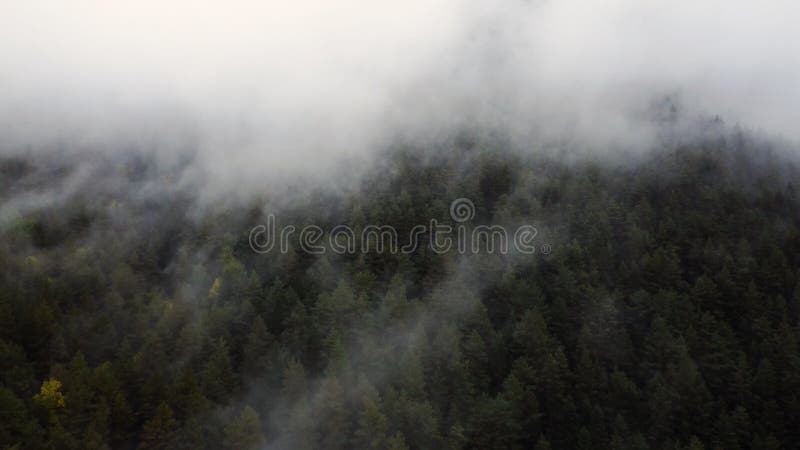 Flying Over the Forest in the Mountains with Floating Fog Stock Image ...