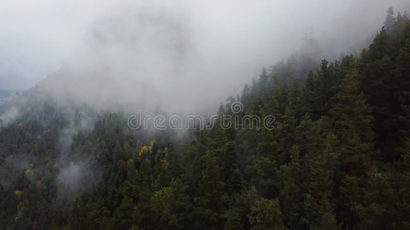 Flying Over the Forest in the Mountains with Floating Fog Stock Image ...