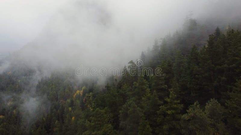 Flying Over the Forest in the Mountains with Floating Fog Stock Photo ...