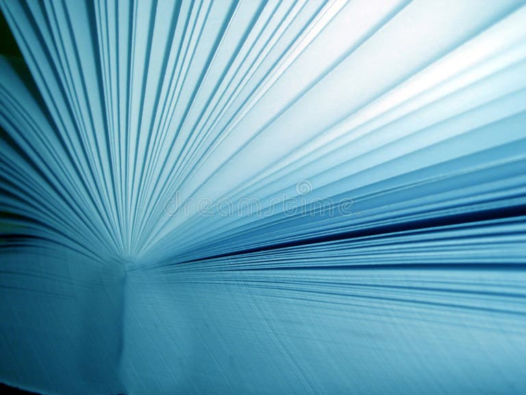 Flying papers stock photo. Image of papers, office, note - 13314670