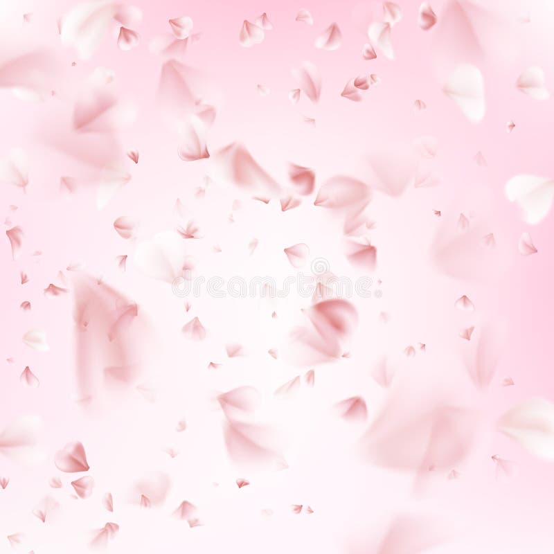 Flying Petals of Sakura. EPS 10 Stock Vector - Illustration of gray ...