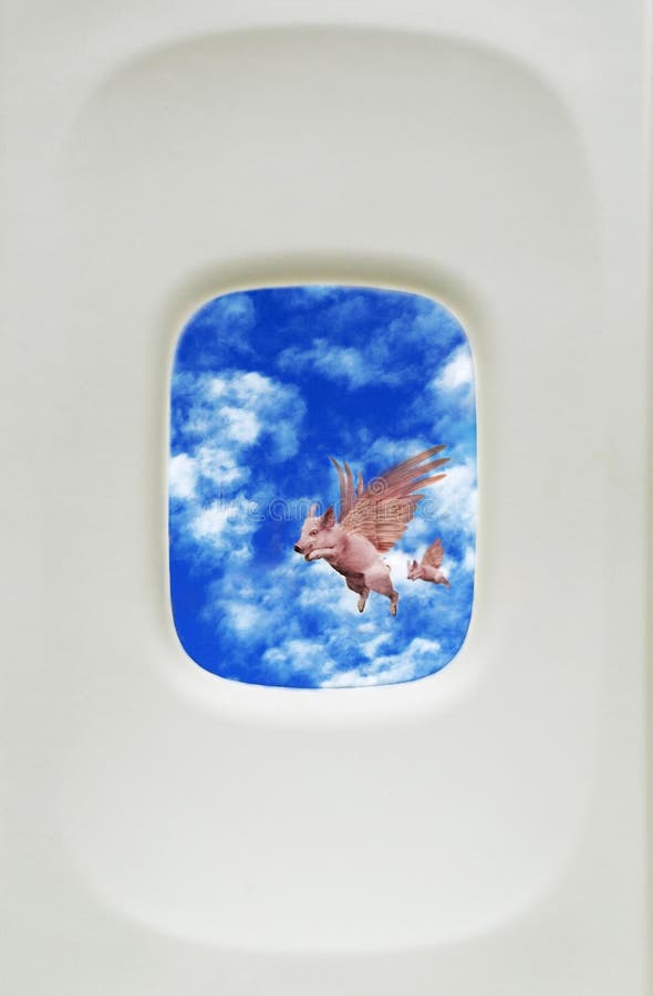 631 Flying Pig Stock Photos - Free & Royalty-Free Stock Photos from ...