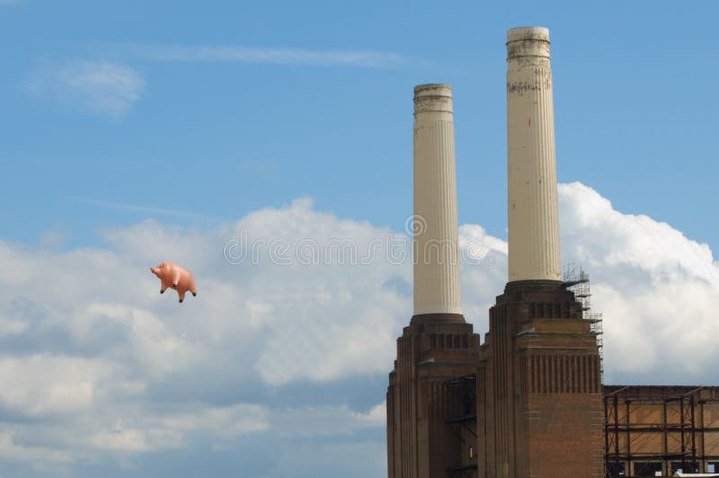 London River Sweaty Pig Stock Photos - Free & Royalty-Free Stock Photos ...
