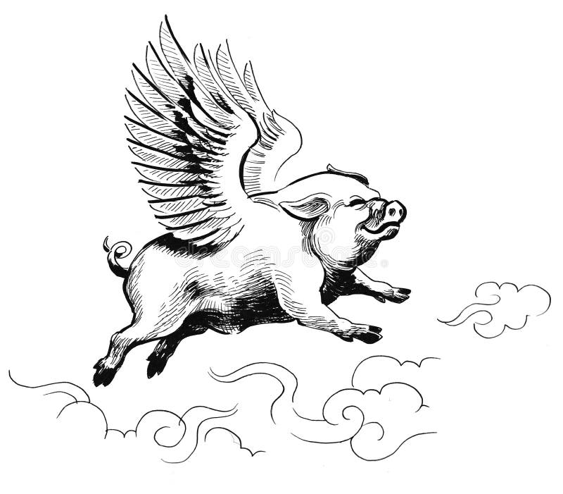 Flying pig stock illustration. Illustration of drawing - 111370630