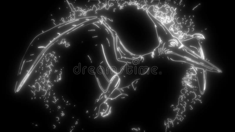 Pterodactyl Dinosaur In White Line On Black Background Stock Footage Video Of Contour Bird