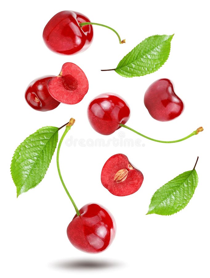 Flying Red Cherry Fruits Isolated on White Background. Clipping Path ...