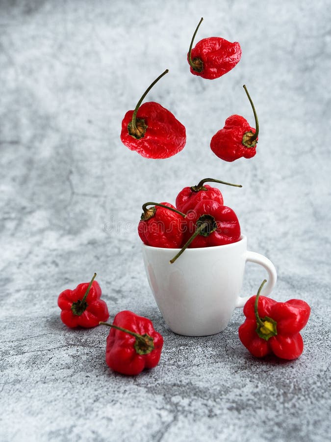 Flying red chilies stock photo. Image of group, color - 235951030