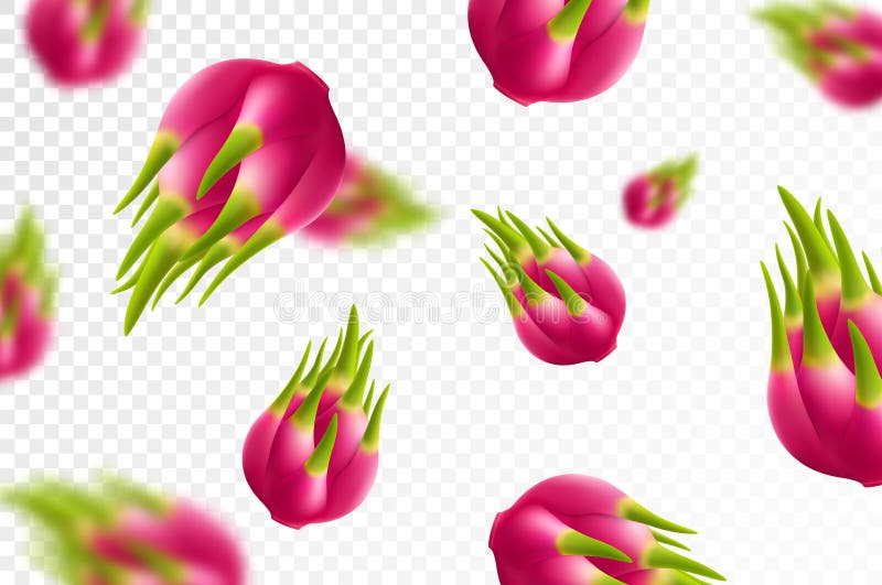 Falling Dragon Fruit Stock Illustrations – 184 Falling Dragon Fruit ...