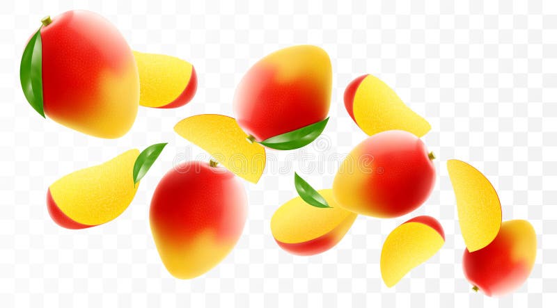 Flying Ripe Mango. Bright Advertising Background Falling Juicy Fruit ...