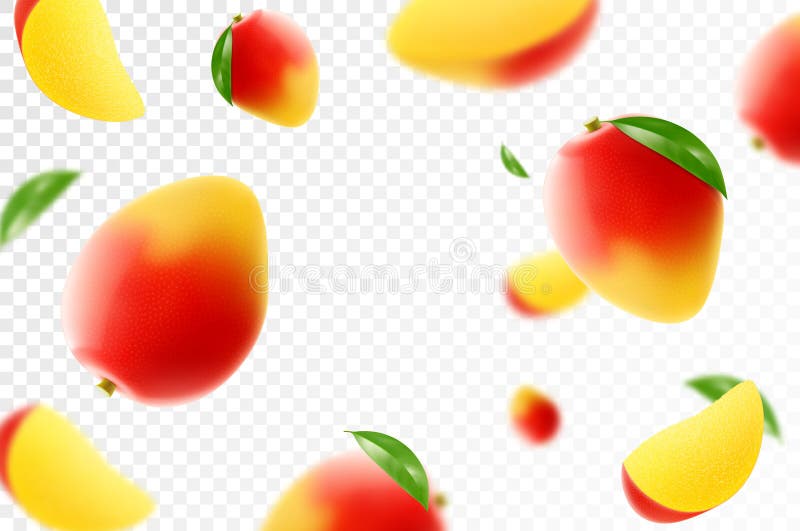 Flying Ripe Mango. Bright Advertising Background Falling Juicy Fruit ...