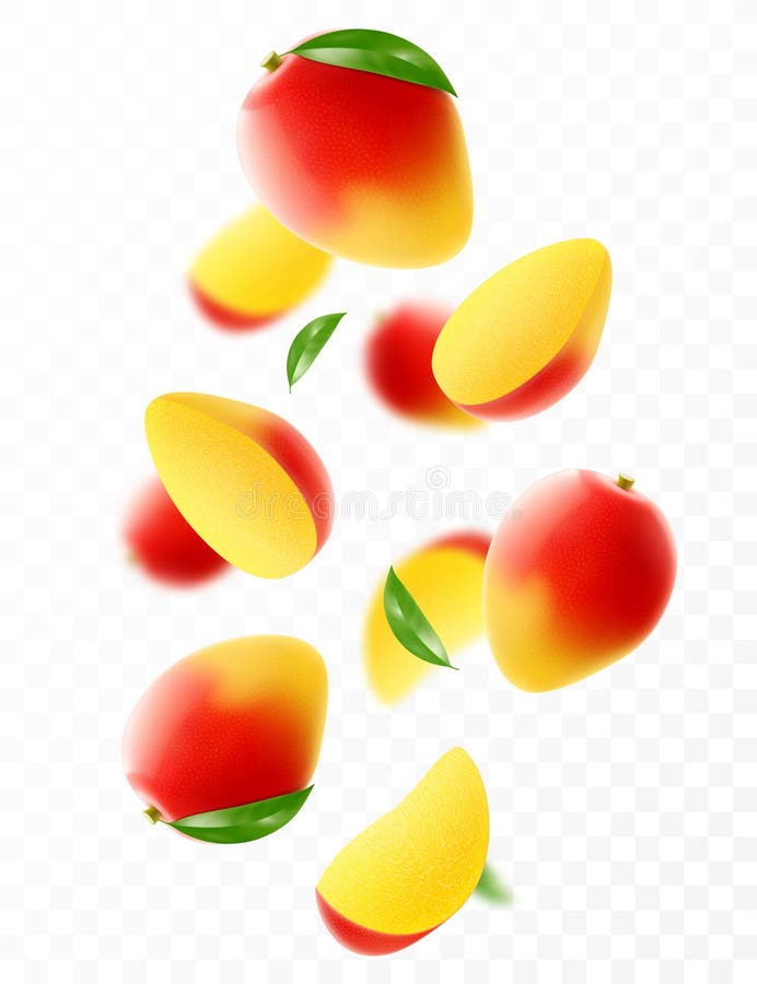 Flying Ripe Mango. Bright Advertising Background Falling Juicy Fruit ...