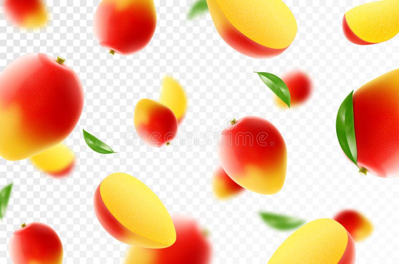 Flying Ripe Mango. Bright Advertising Background Falling Juicy Fruit ...