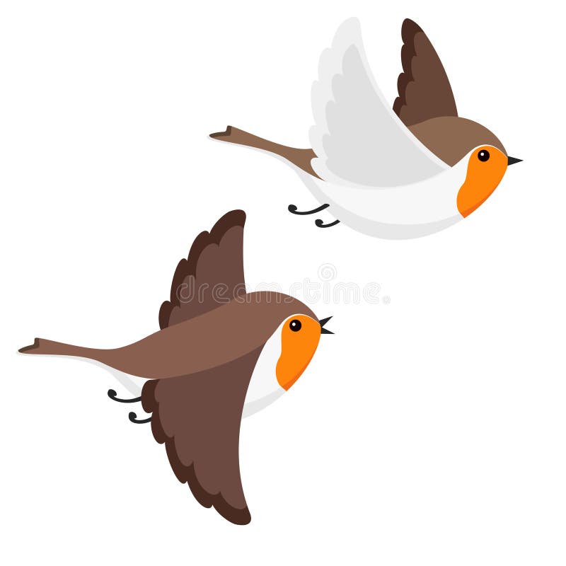 Flying Robins Isolated on White Background Stock Vector - Illustration ...