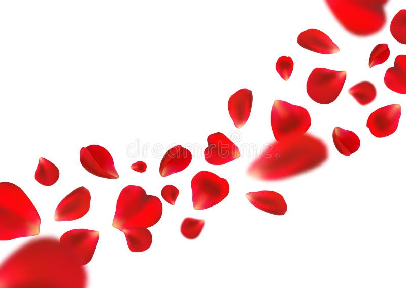 Flying Rose Petals Isolated Vector 3d Template Stock Illustration ... Flying Rose Petals Isolated Vector 3d Template Stock Illustration ...