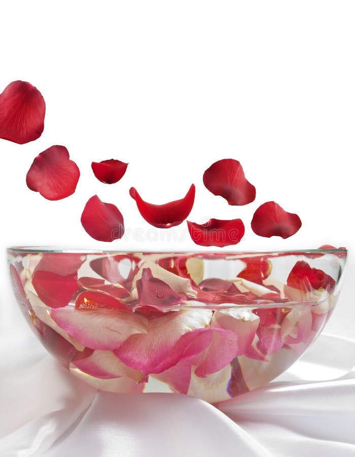 Flying Rose Petals Isolated on Black Background Stock Image - Image of ...